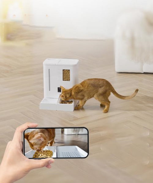 Smart Pet Feeder: Making Life More Fun for Your Pets - madeindayin